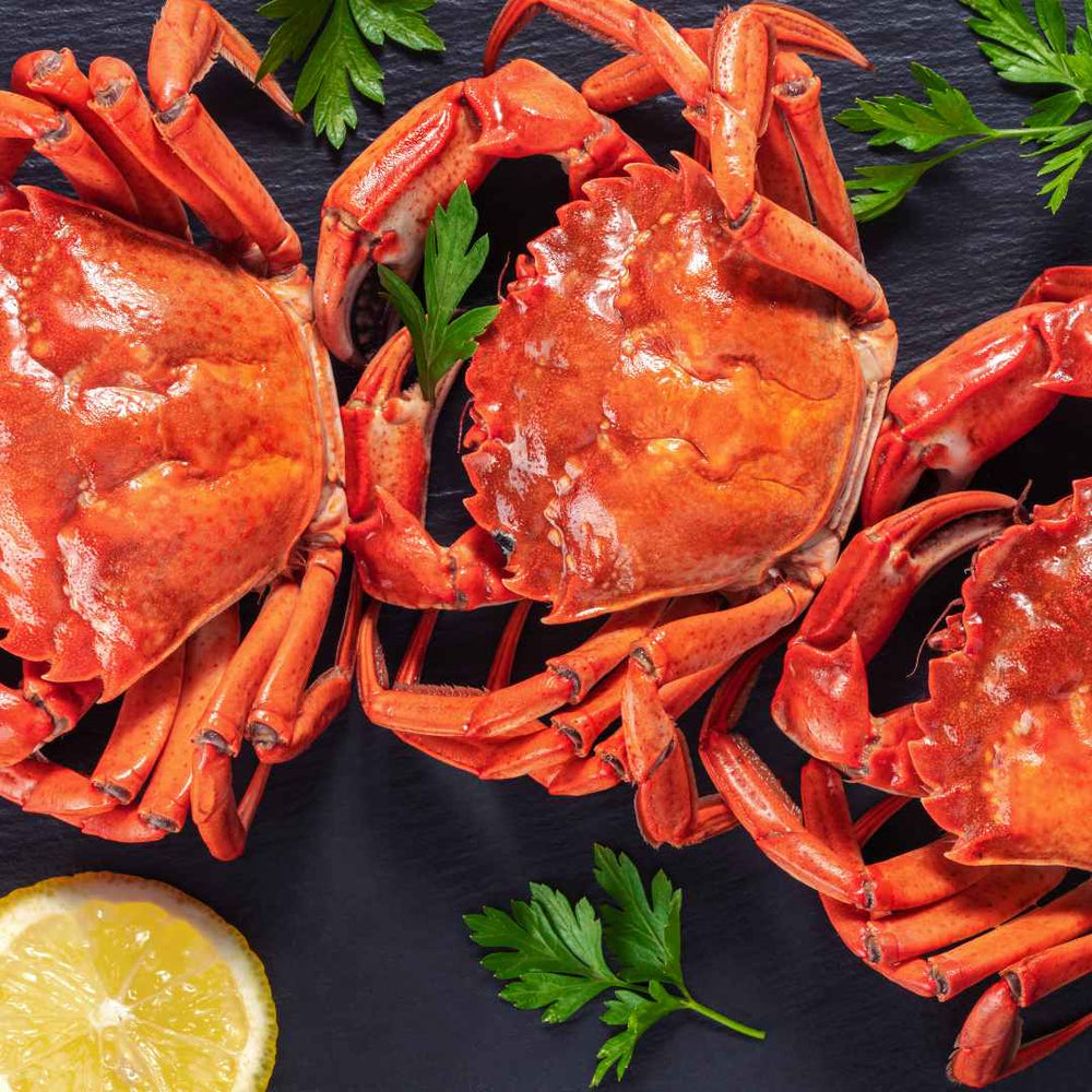 Online Fresh & Frozen Fish & Seafood Delivered Direct to Your Door ...