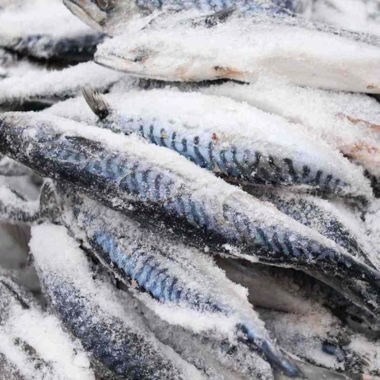 Online Fresh & Frozen Fish & Seafood Delivered Direct to Your Door ...