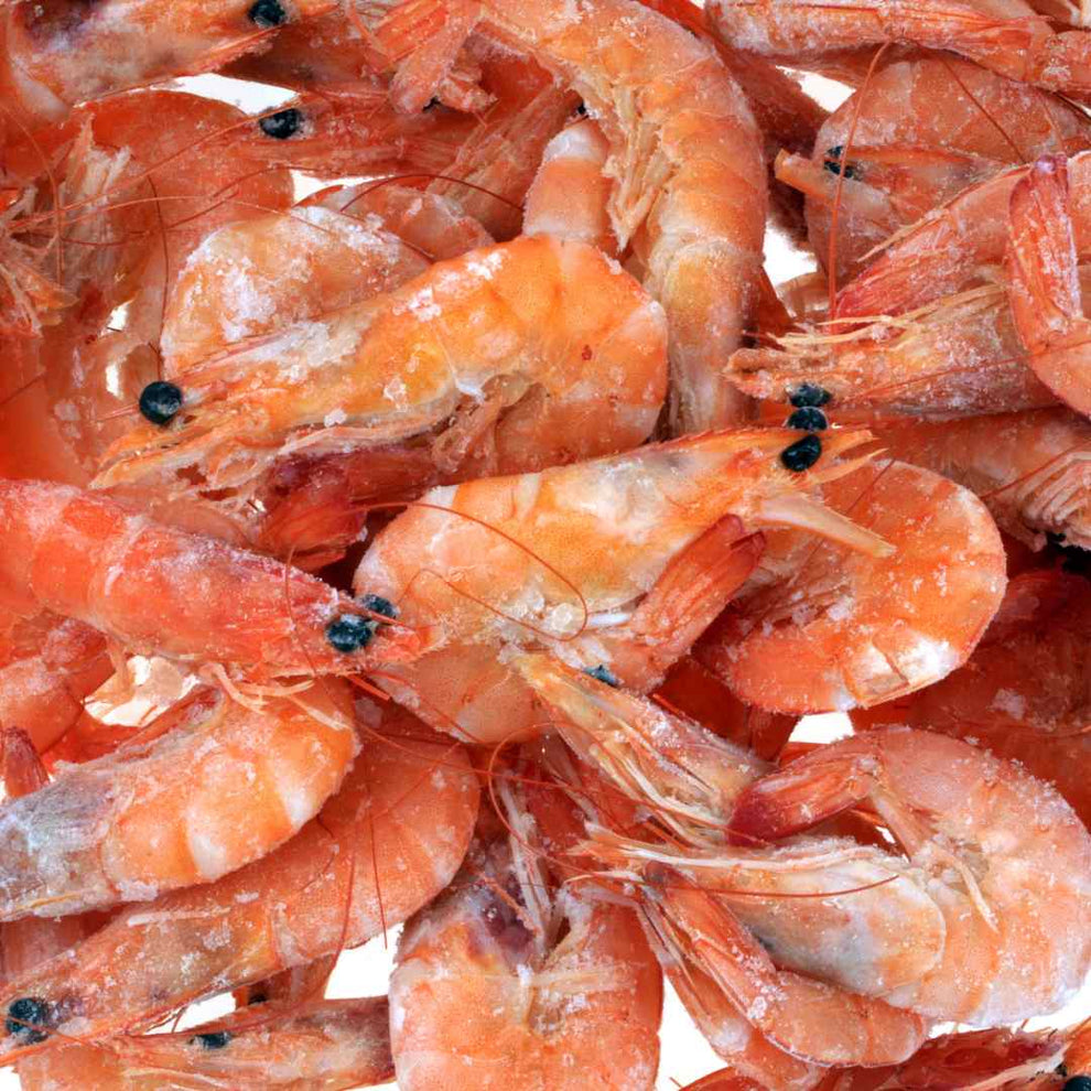 Frozen Crevettes – justcaught.co.uk