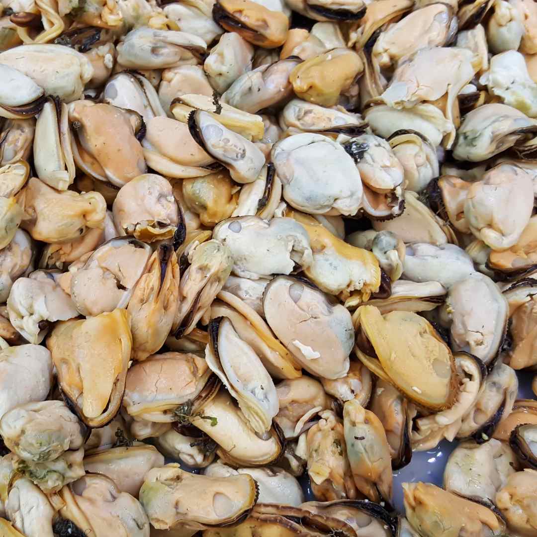Mussel Meat – justcaught.co.uk
